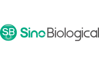 Discovering Antigen-specific Monoclonal Antibodies using Single B Cell ...